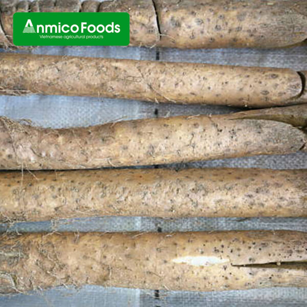 Frozen Cassava Root – Anmico Foods