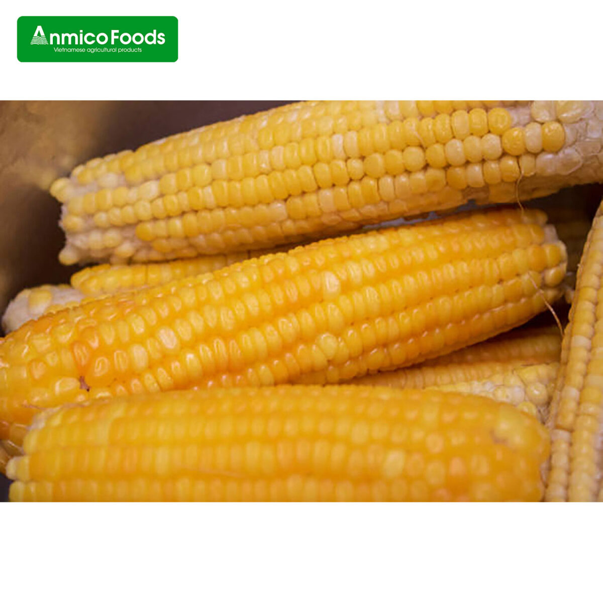Frozen Corn – Anmico Foods